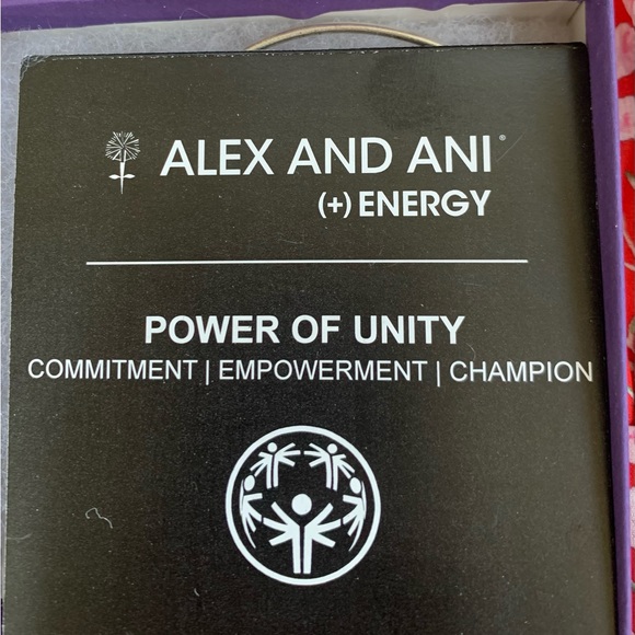 Alex and Ani | Jewelry | Alex And Ani Power Of Unity Silver Charm ...